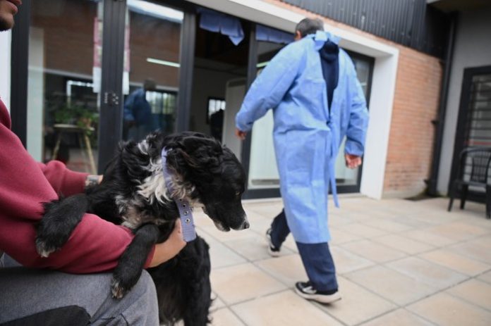 Continúan los trabajos para fortaler el servicio de Zoonosis | Lujan Hoy